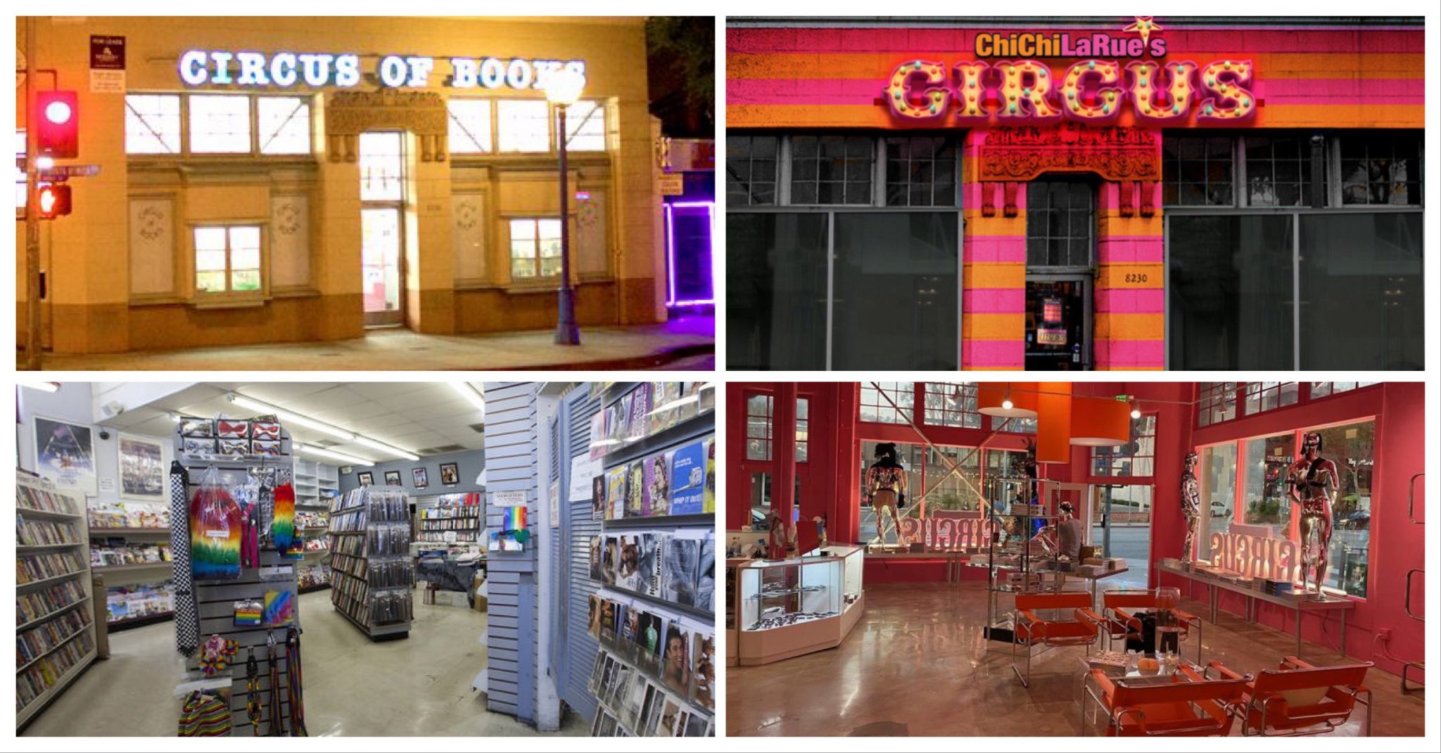 Circus of Books - The Reelness