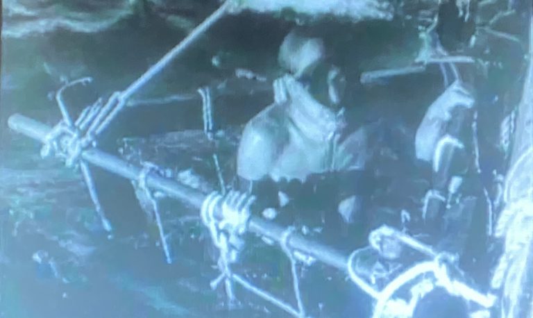 Kon-Tiki (1950 Documentary) - The Reelness