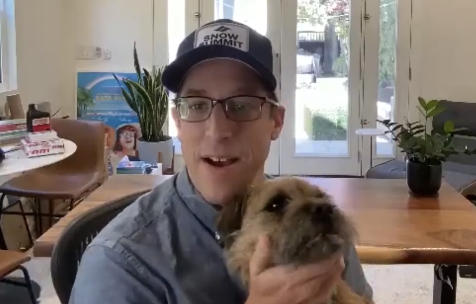 Strays - The Reelness